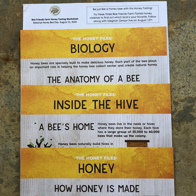 Kids Education: Honey Bee Activity Kit | Bee Friends Farm