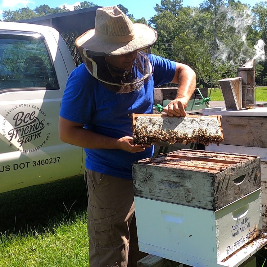 Beekeeping Experience with Bee Friends Farm | Bee Friends Farm
