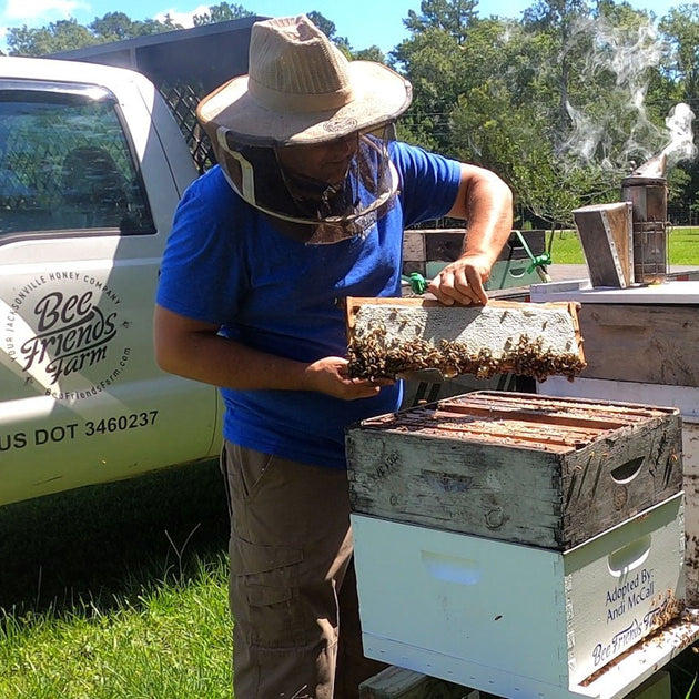Beekeeping Experience with Bee Friends Farm | Bee Friends Farm