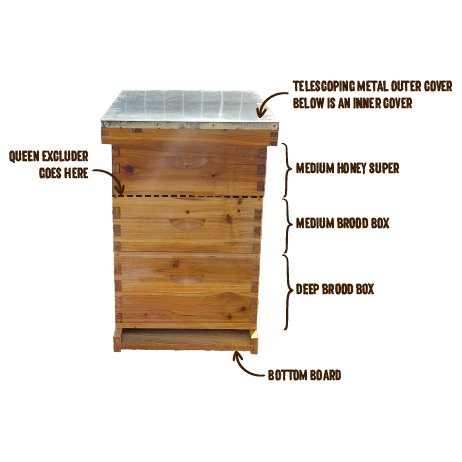 Ideal Hive Configuration for North Florida | Bee Friends Farm