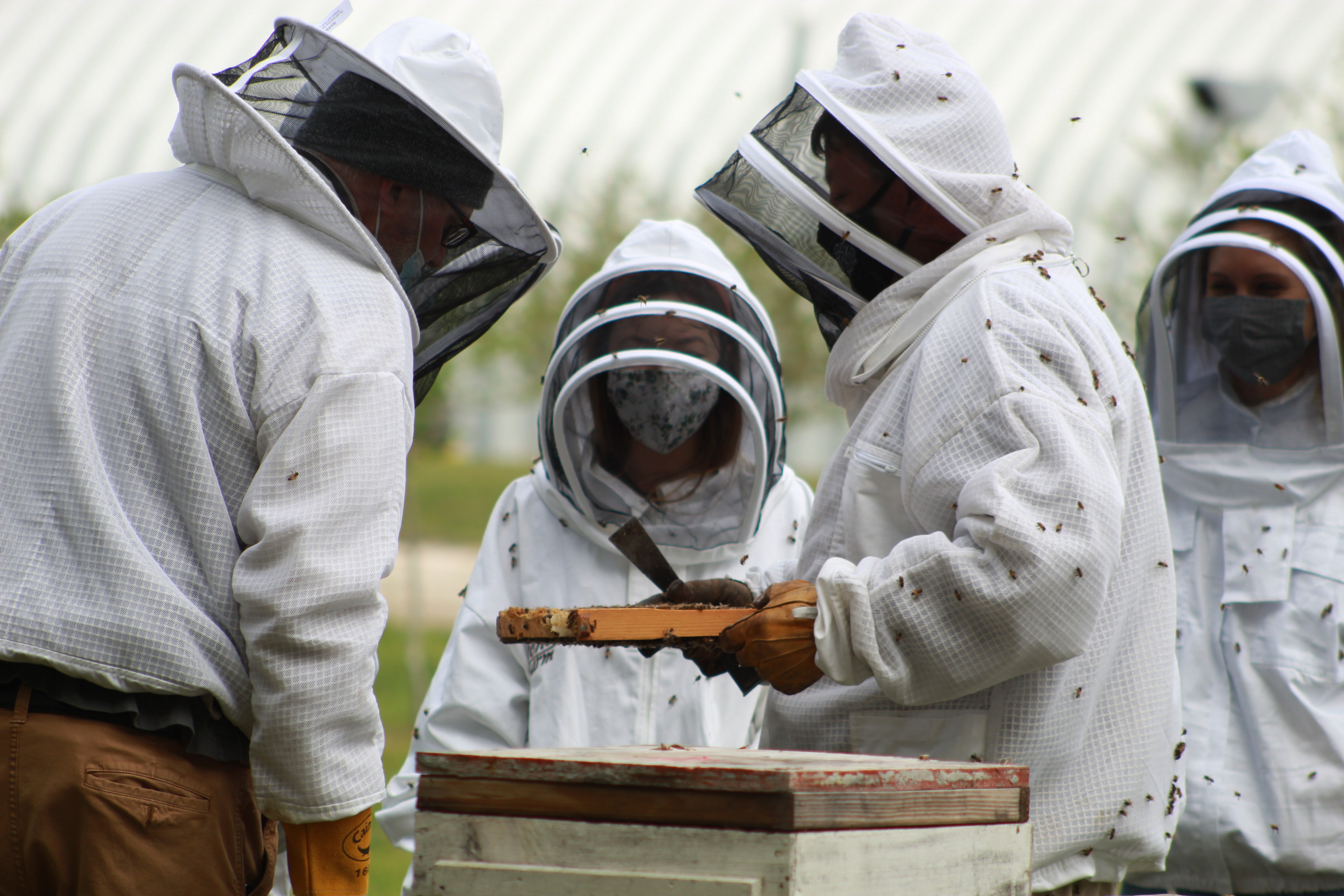 Bee Friends Farm | Pure Raw Jacksonville FL Local Honey-Beeswax-Gifts ...